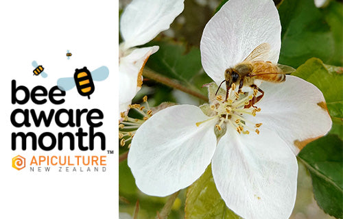 Bee Aware Month - Feed the Bees – Deep Blue Health NZ