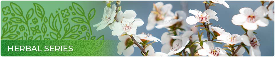 Herbal Series Tagged "Supports immune system" - Deep Blue Health NZ